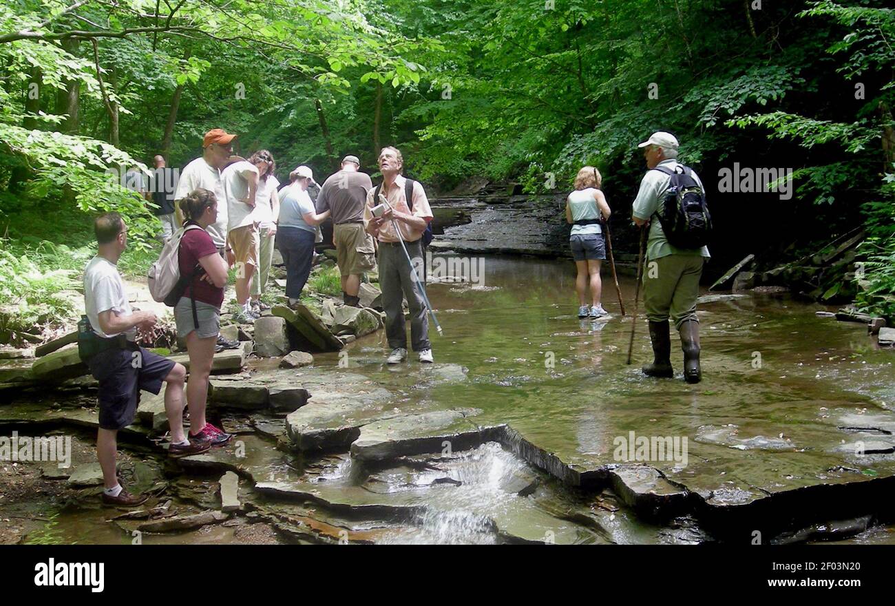 An 18-inch waterfall runs across Stebbins Run, a cold-water stream that ...