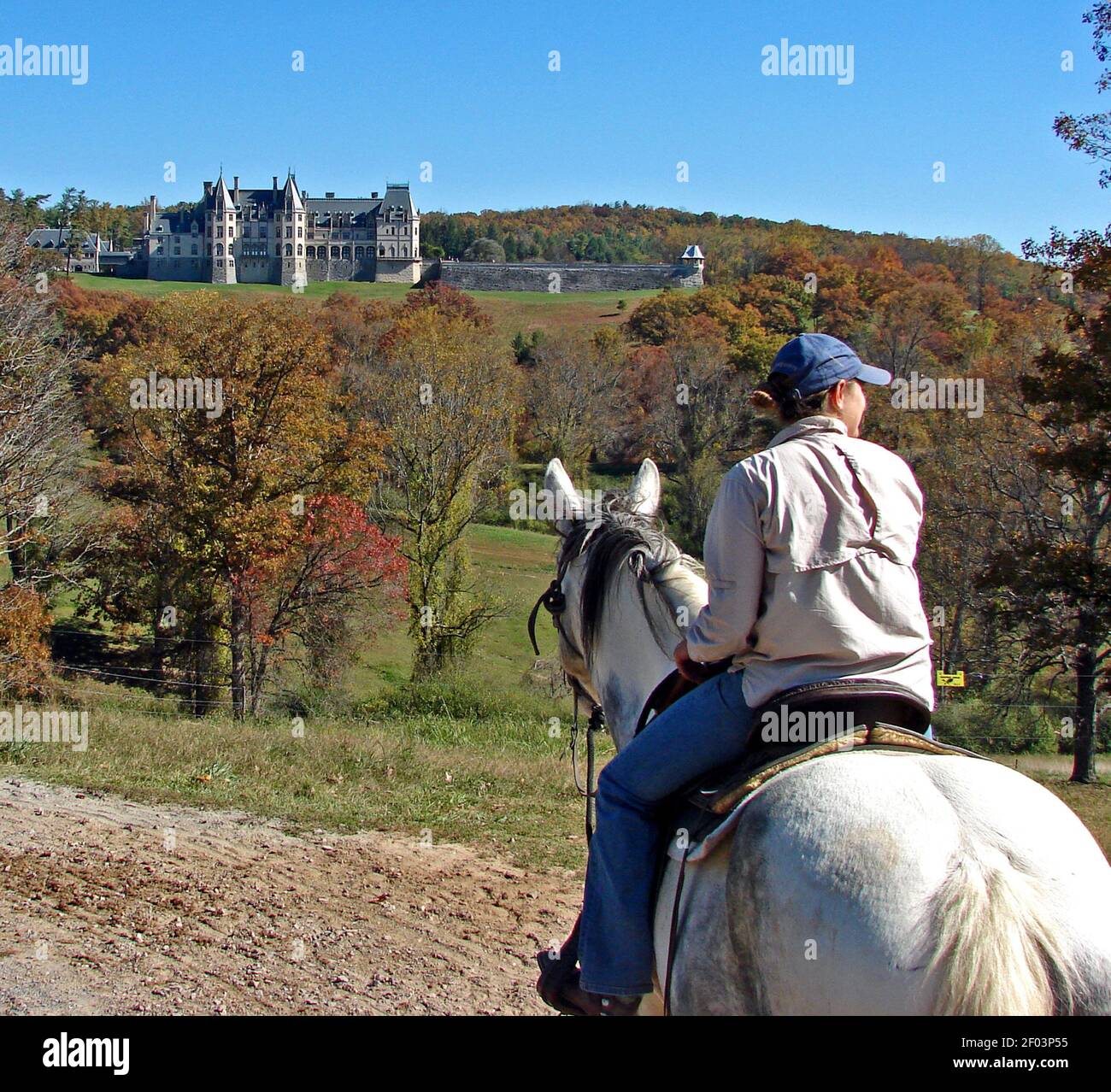 A horseback ride takes guests through the forest to a view of the back ...