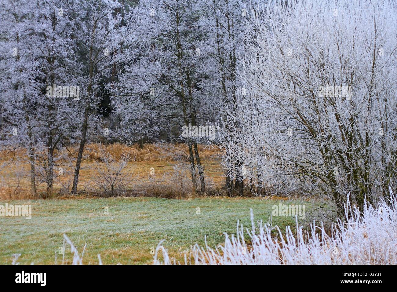 dramatic country landscape cold and frosty day stock photo Stock Photo ...