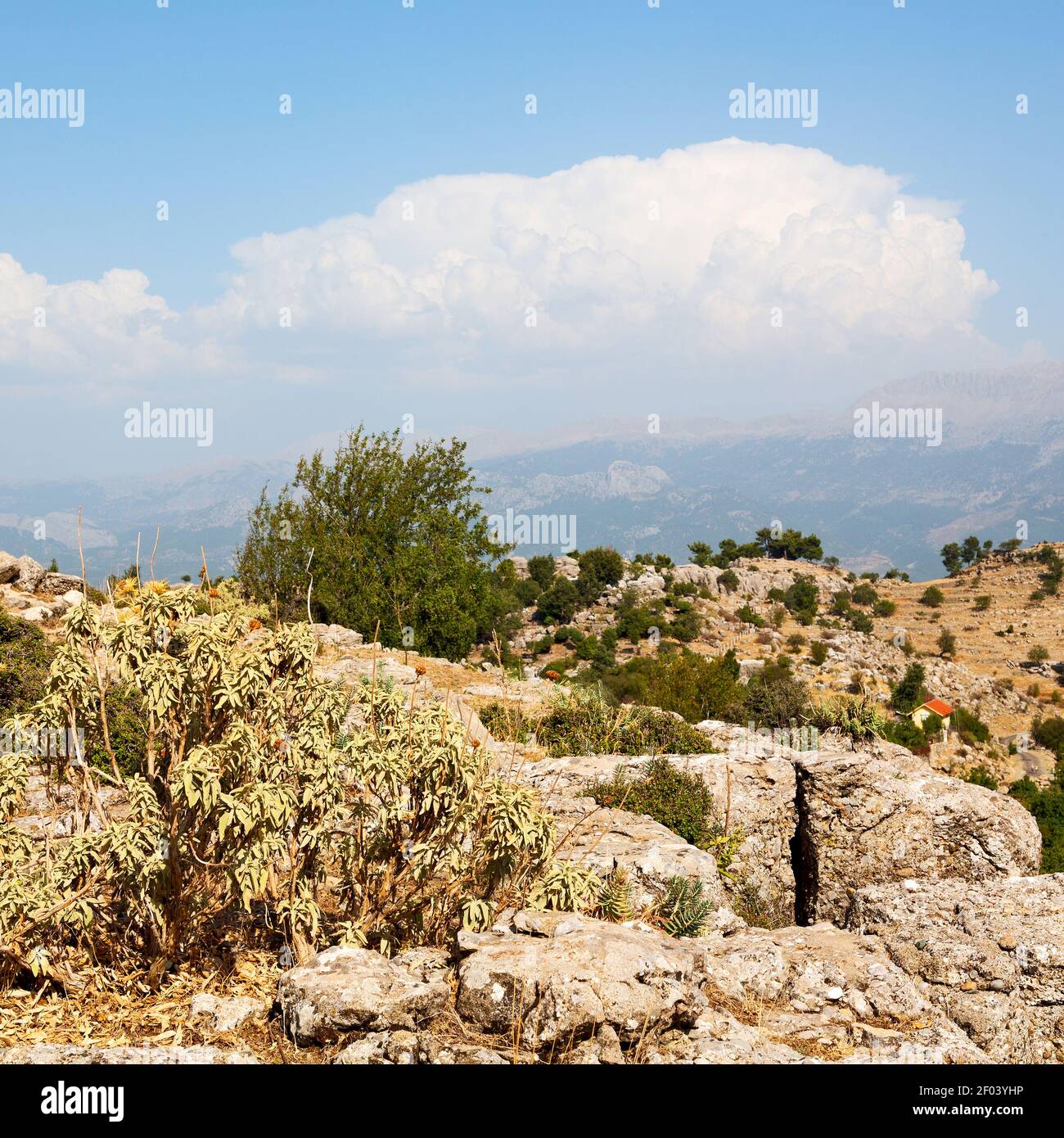 From the hill in asia turkey selge old architecture ruins and nature ...