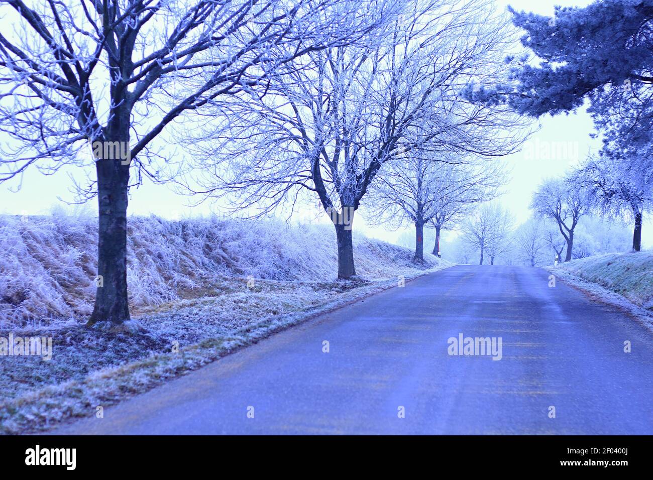 dramatic country landscape cold and frosty day stock photo Stock Photo ...