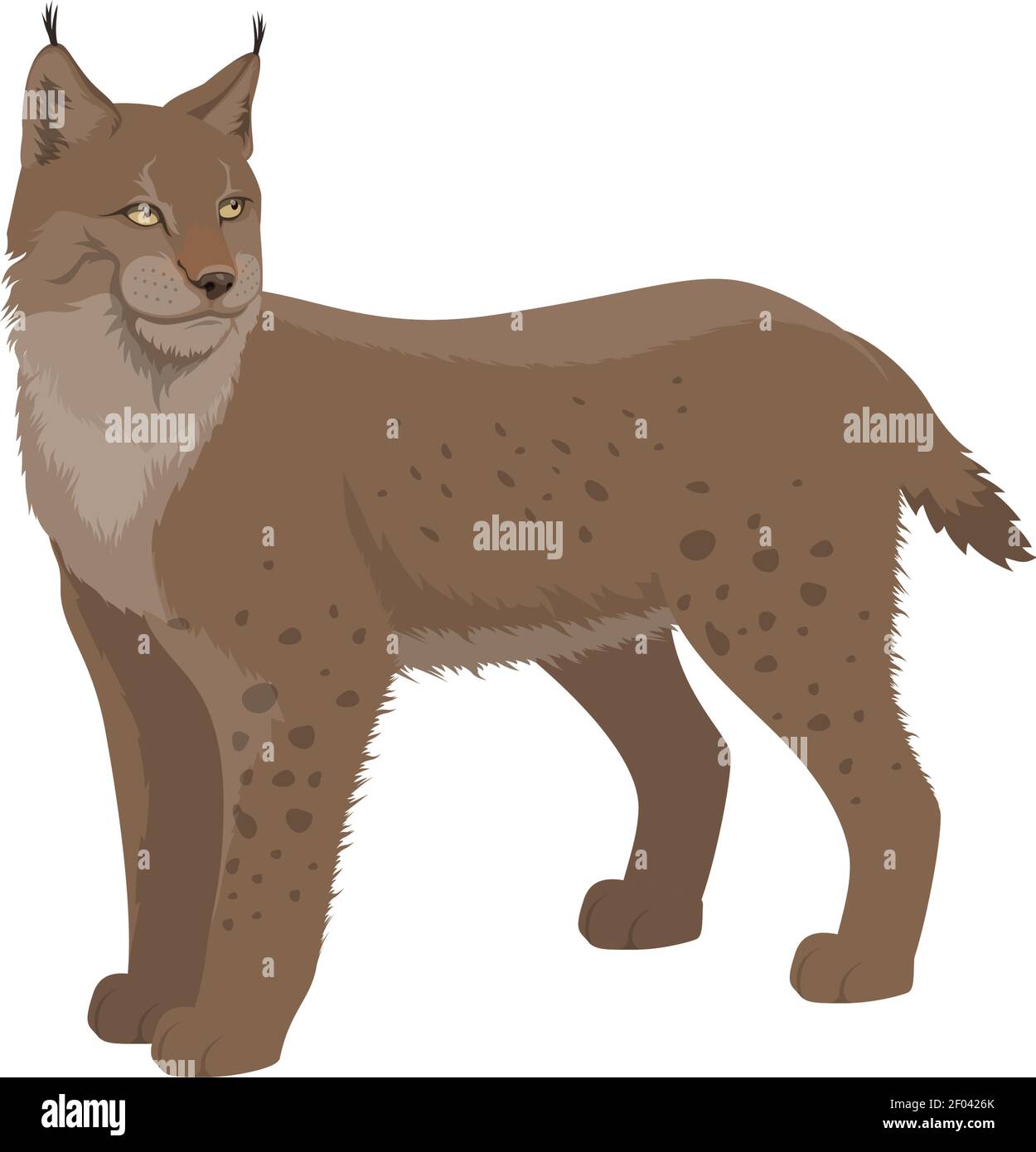 Lynx wild bobcat isolated spotted animal. Vector eurasian lynx-lynx ...