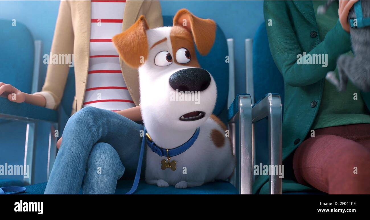 Secret Life High Resolution Stock Photography and Images - Alamy