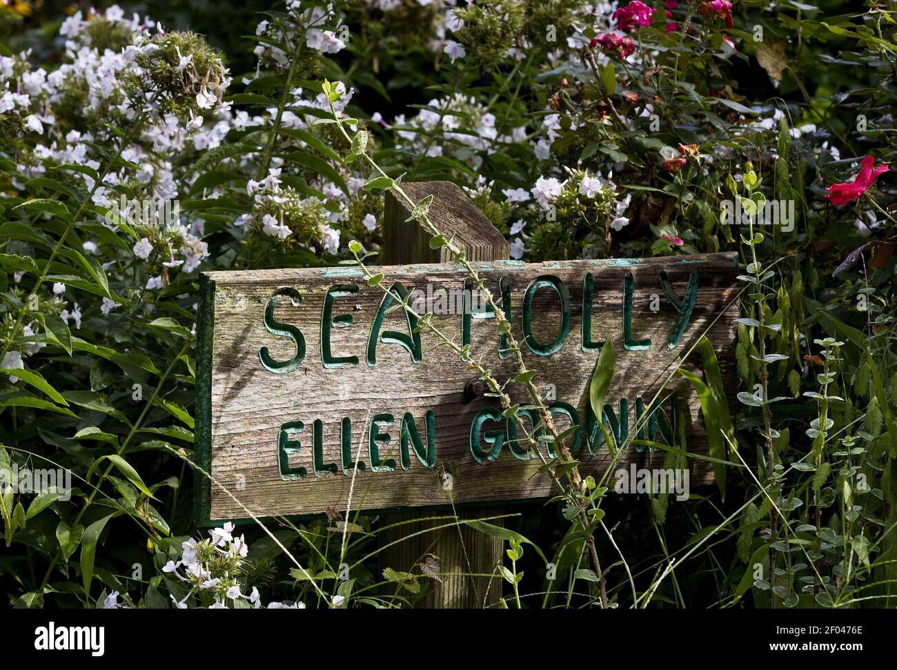 Fred and Whitney Harris have a two-acre organice farm in Suffolk ...