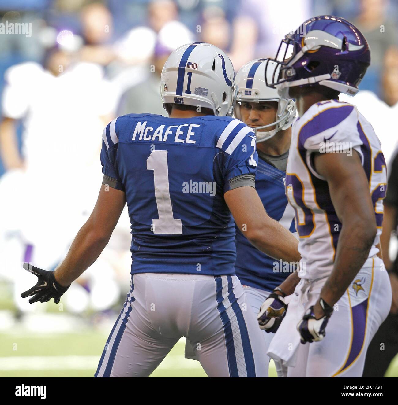Indianapolis Colts punter Pat McAfee (1) reacts with Indianapolis Colts ...