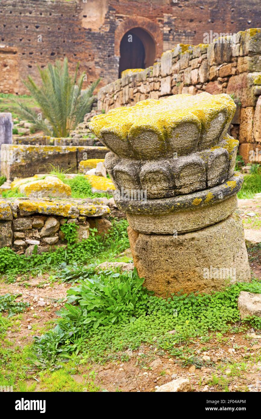 Chellah morocco africa the old roman Stock Photo - Alamy