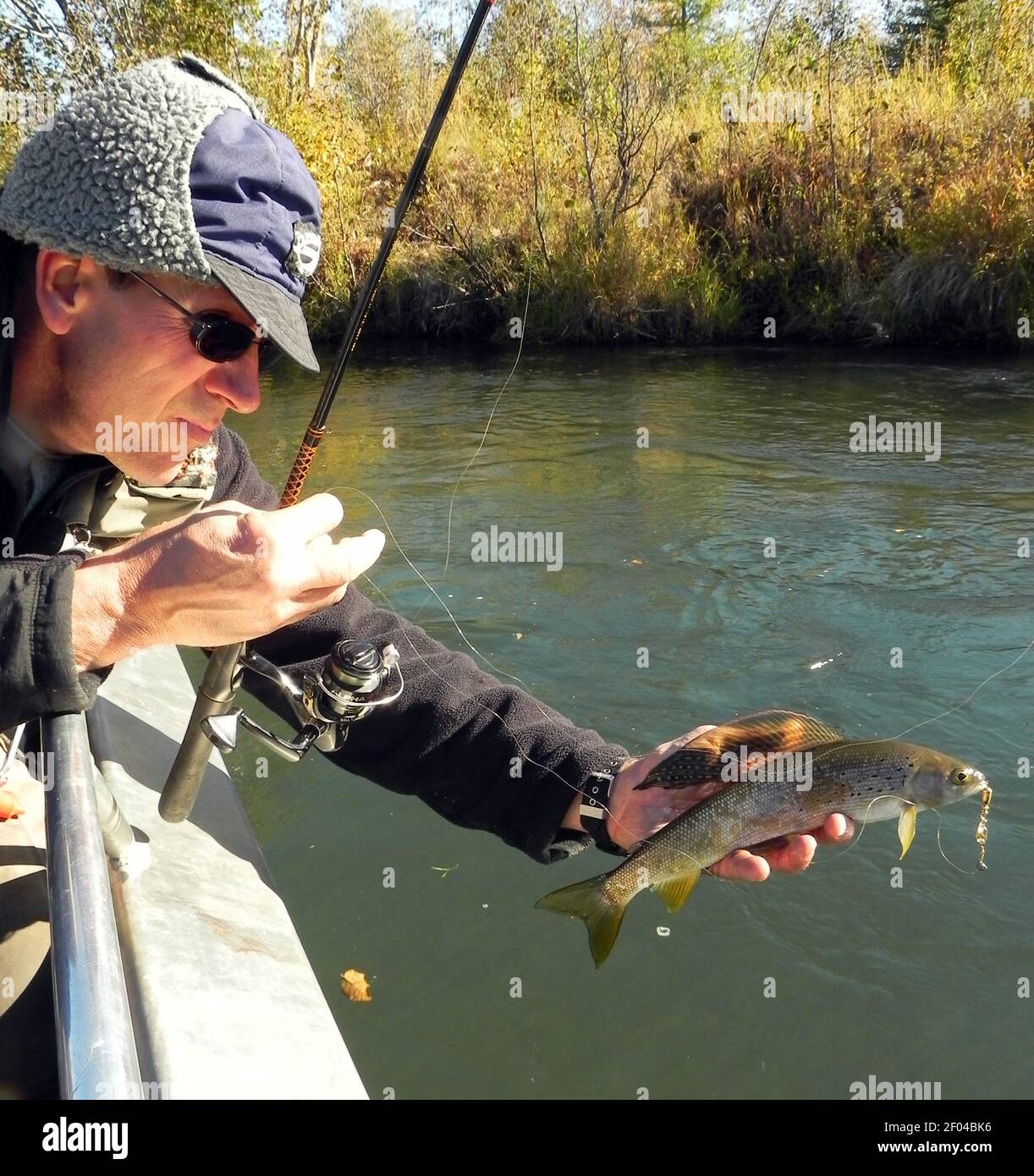 Fishing guide Reed Morisky looks at a grayling he caught on in the ...