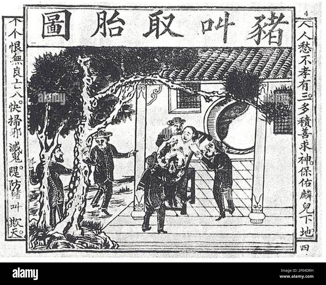 Pig call taking fetus Stock Photo - Alamy