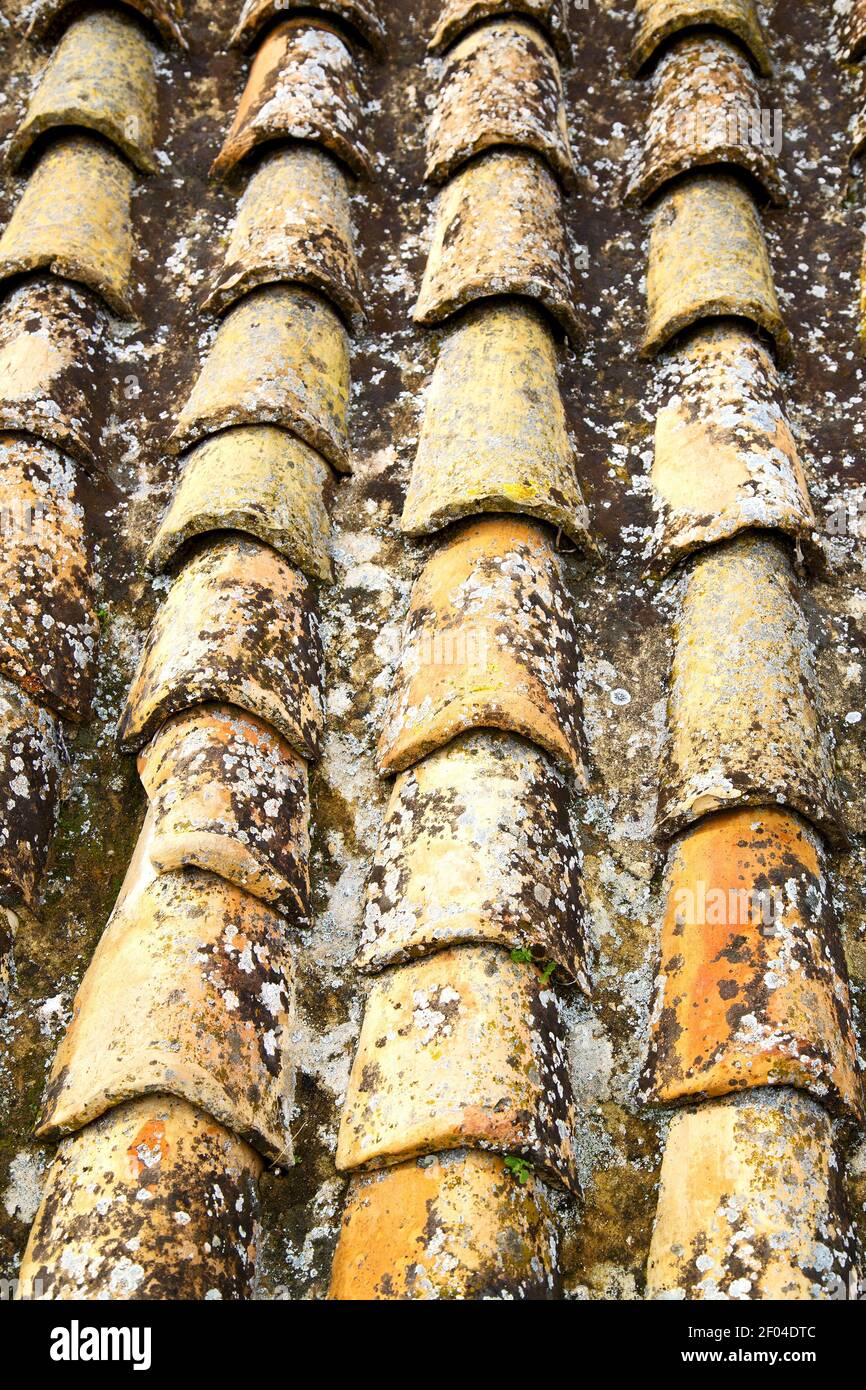 Old moroccan roof the city Stock Photo - Alamy