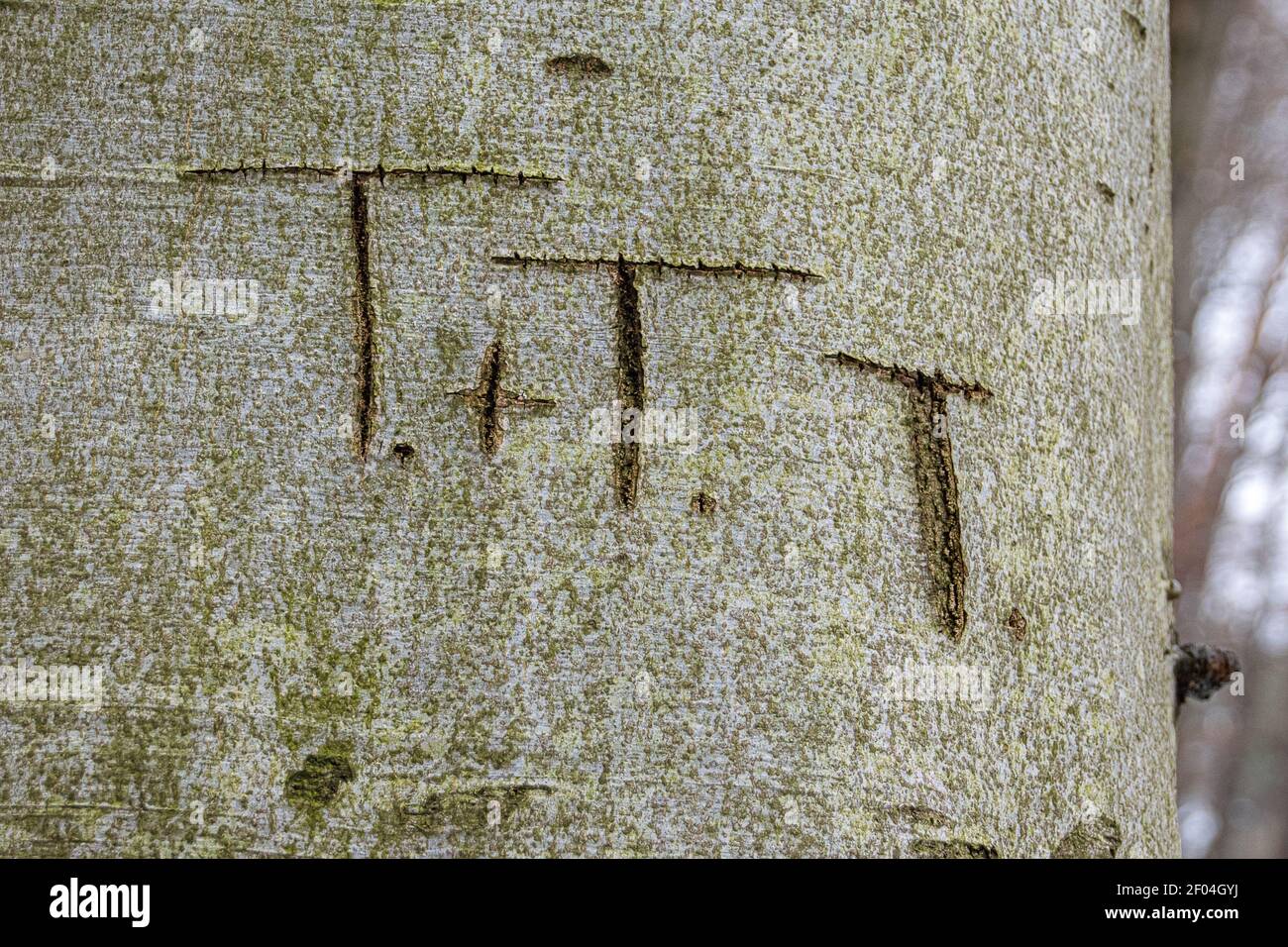 Carving letters in wood hi-res stock photography and images - Alamy