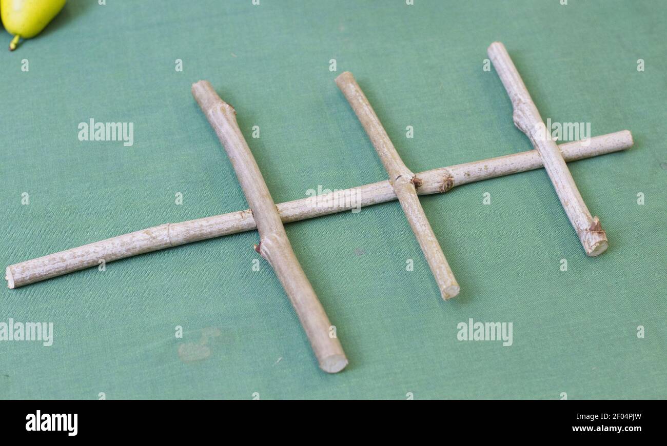 In the making of centerpiece, "Partridge in a Pear Tree," small ...