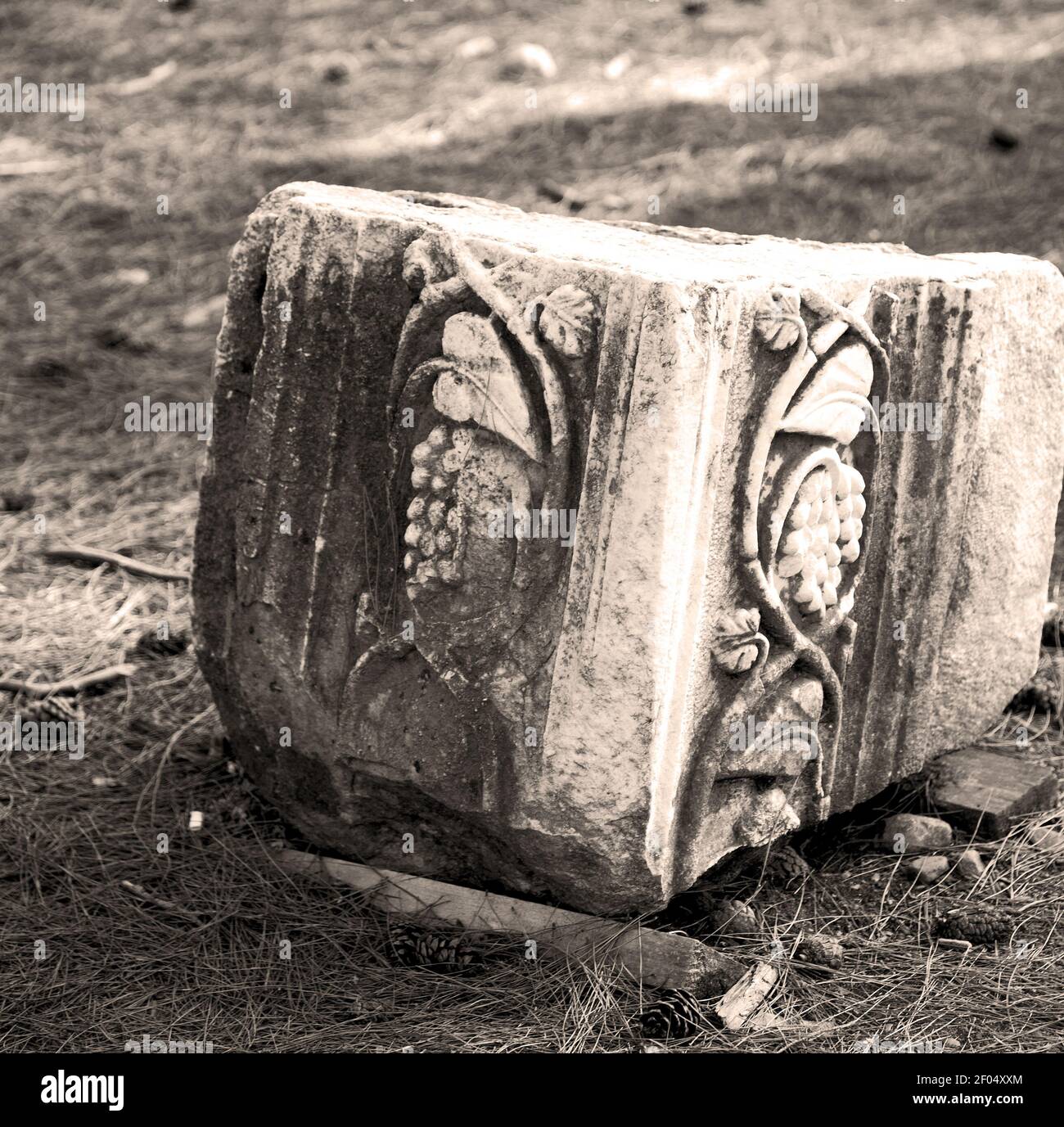 Old ruined column and destroyed stone in phaselis temple turkey asia ...