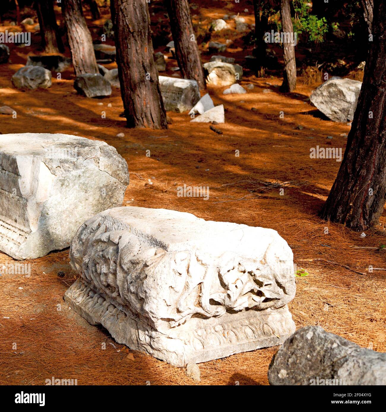 Old ruined column and destroyed stone in phaselis temple turkey asia ...