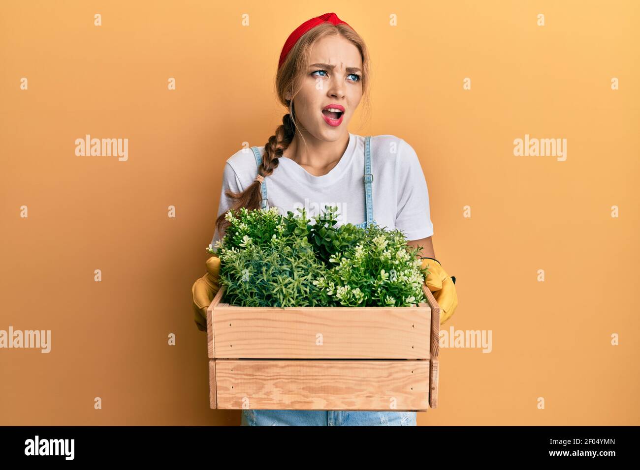 Beautiful blonde caucasian woman holding wooden plant pot angry and mad ...