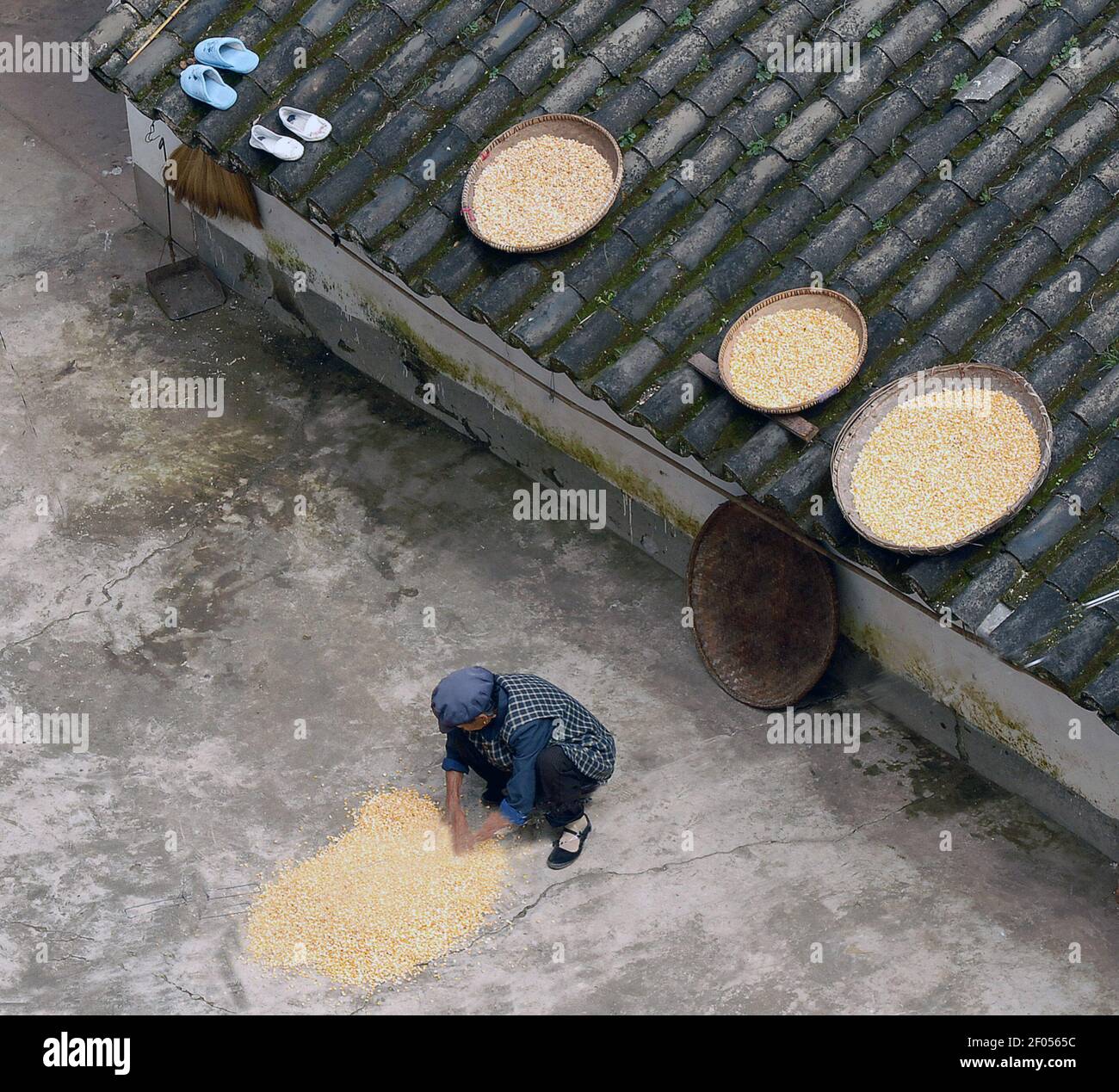 Drying grain hi-res stock photography and images - Alamy