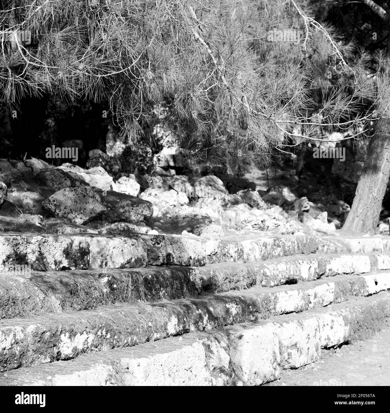 Old ruined column and destroyed stone in phaselis temple turkey asia ...