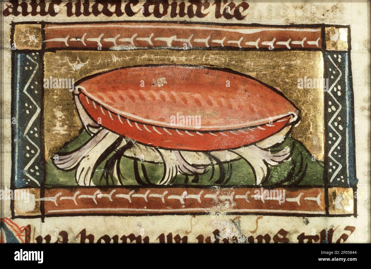 Pina (bivalve shellfish) - Der naturen bloeme - Jacob van Maerlant - KB ...