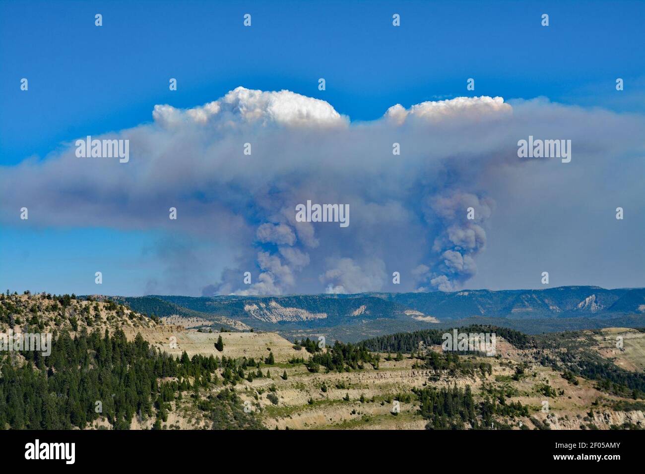 Pine Gulch Fire Stock Photo - Alamy