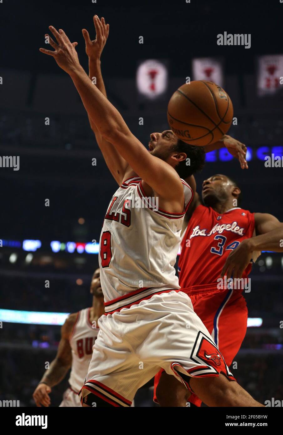 Marco Belinelli Bulls