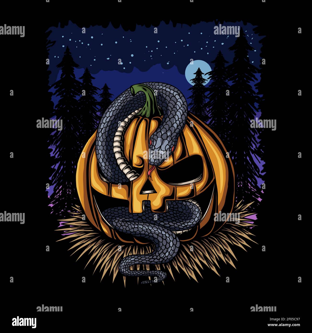 Snake skull hi-res stock photography and images - Alamy