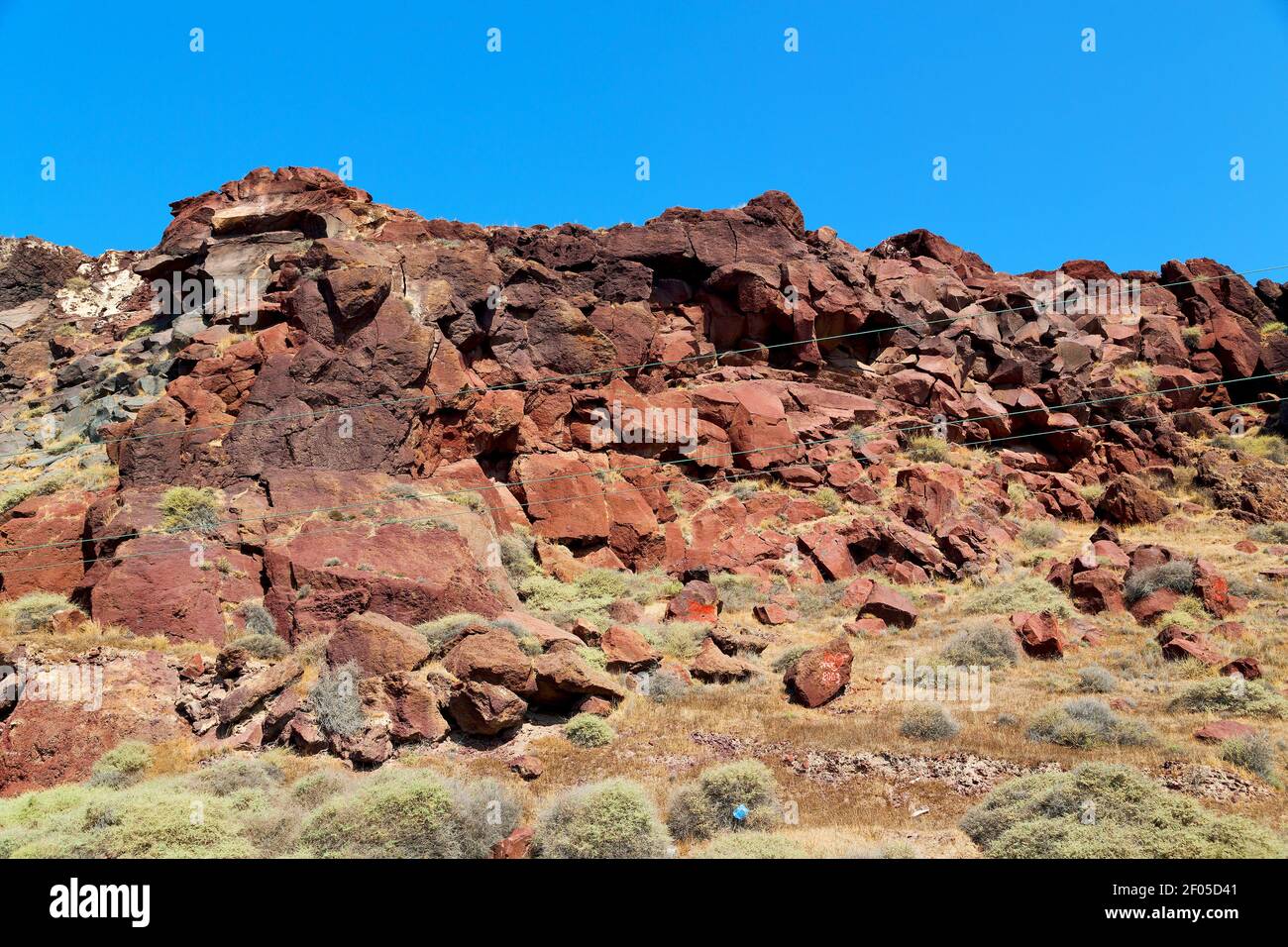 Rock alone bush Stock Photo - Alamy