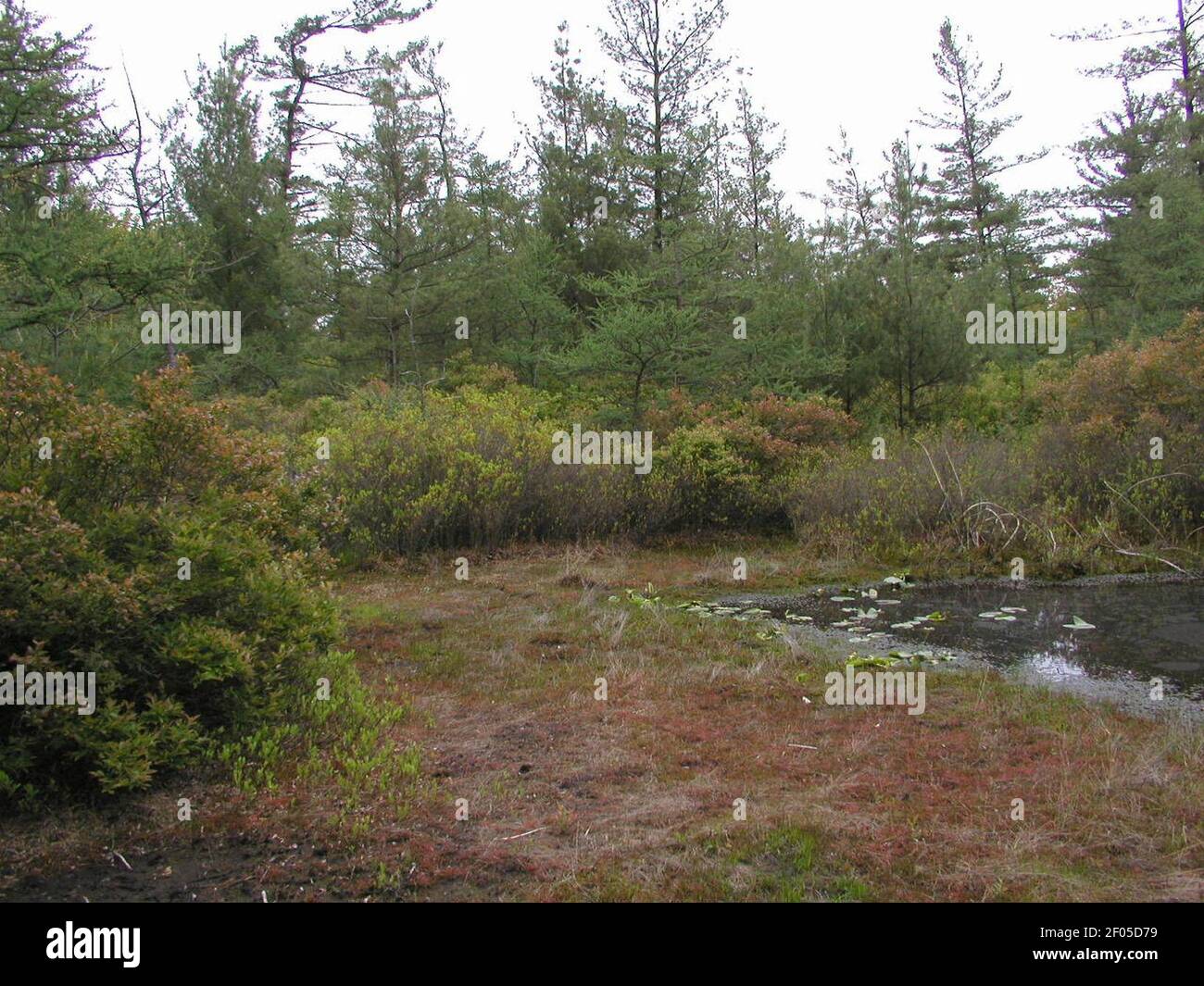 Pinhook hi-res stock photography and images - Alamy