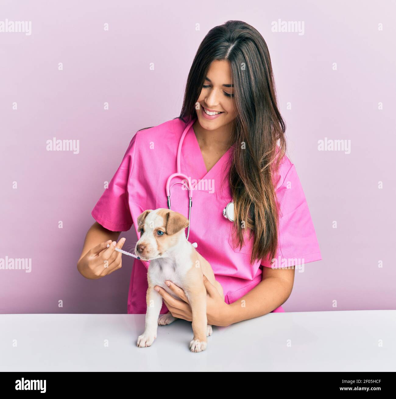 Young hispanic veterinarian girl smiling happy giving injection to ...