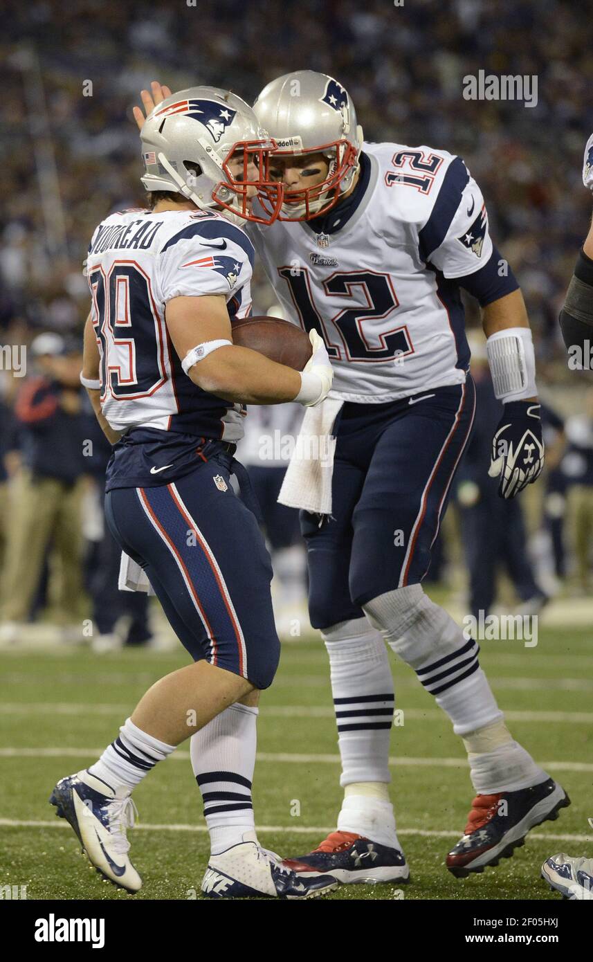 New England Patriots running back Danny Woodhead is congratulated by ...