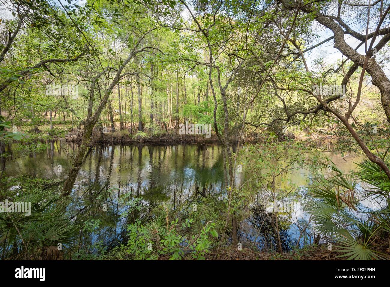 Beautiful Nature Park Stock Photo - Alamy
