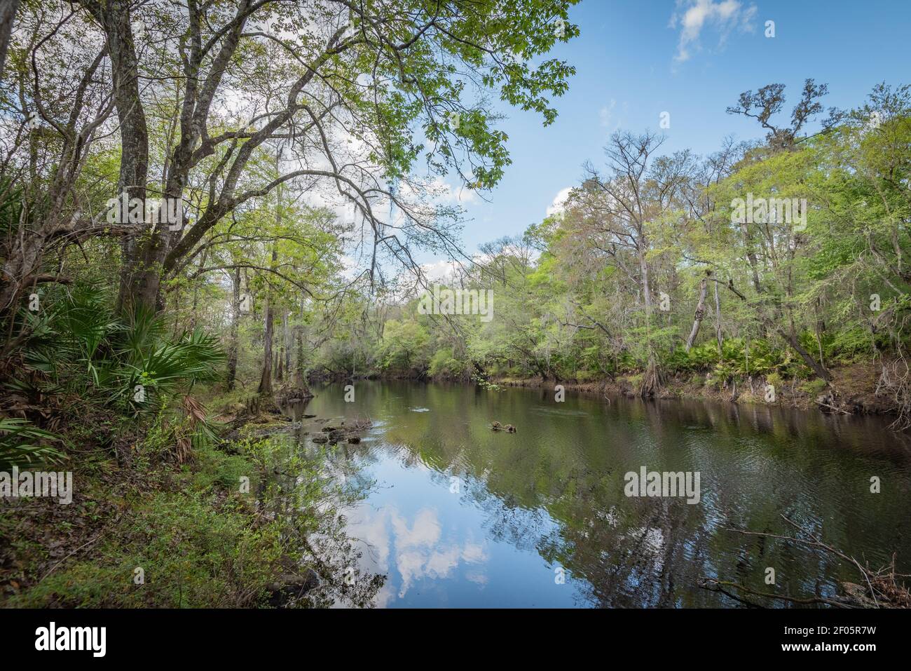 Beautiful Nature Park Stock Photo - Alamy