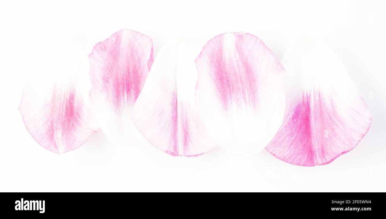 Rank and file hi-res stock photography and images - Alamy