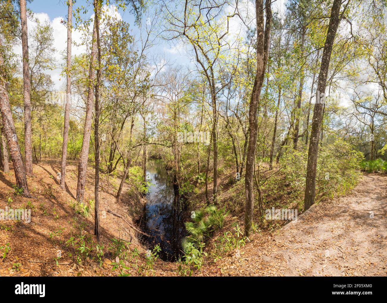 Beautiful Nature Park Stock Photo - Alamy