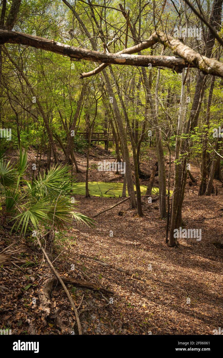 Beautiful Nature Park Stock Photo - Alamy