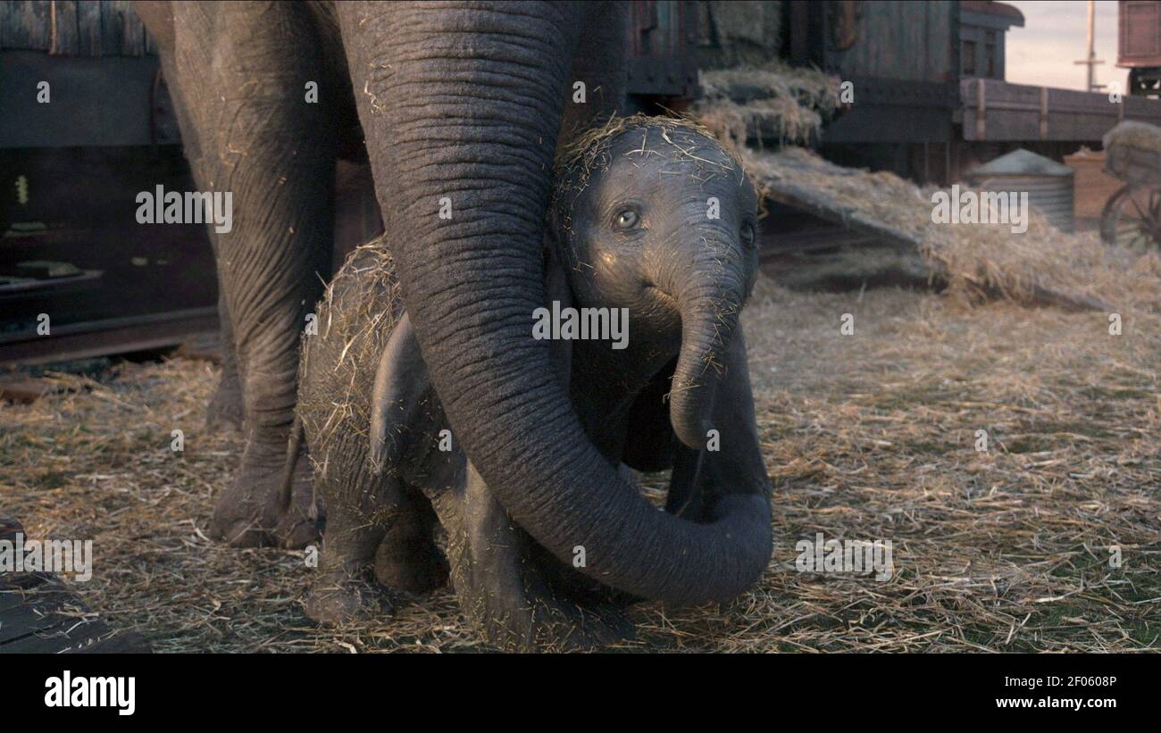 Dumbo Film High Resolution Stock Photography and Images - Alamy
