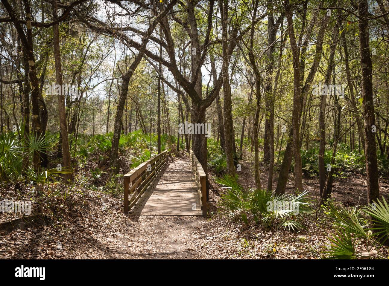 Beautiful Nature Park Stock Photo - Alamy