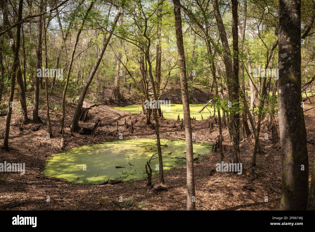 Beautiful Nature Park Stock Photo - Alamy