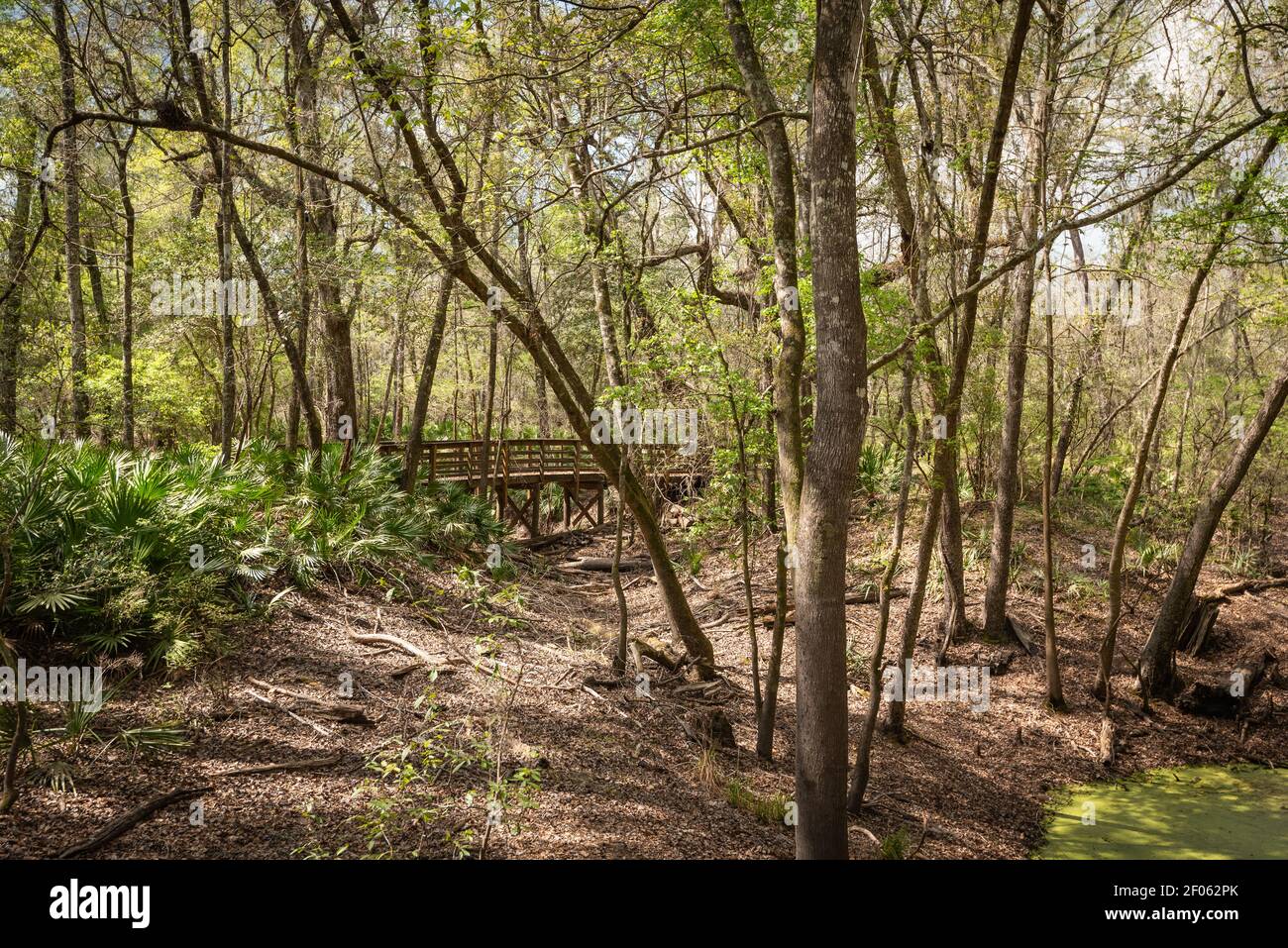 Beautiful Nature Park Stock Photo - Alamy