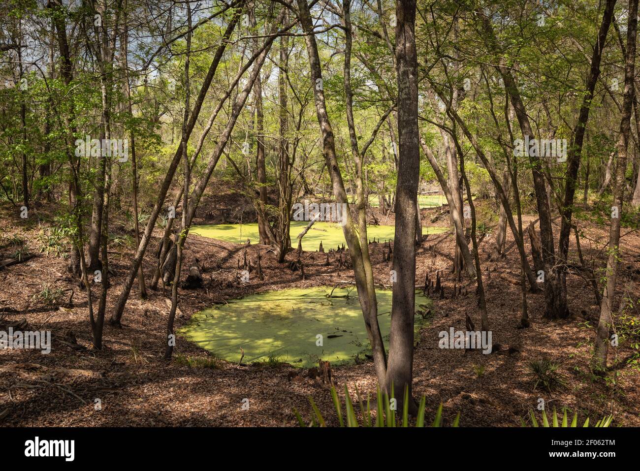 Beautiful Nature Park Stock Photo - Alamy