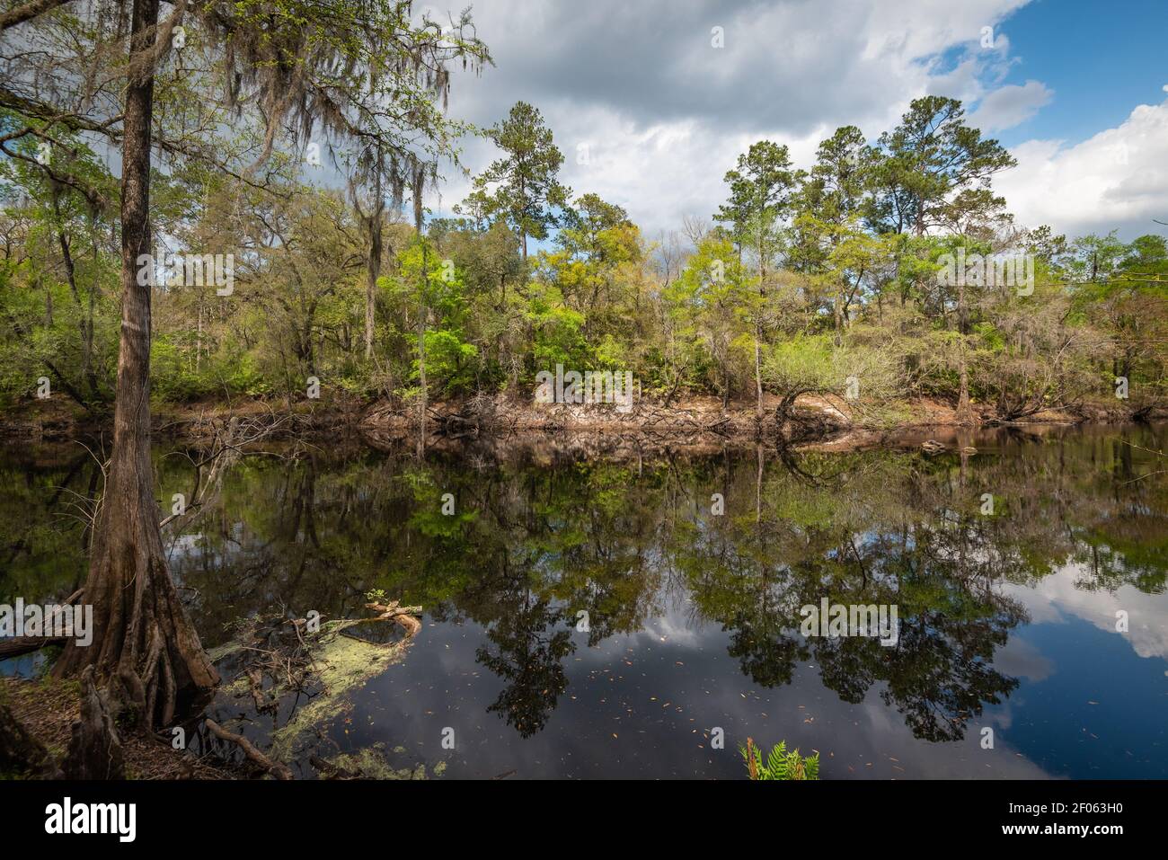 Beautiful Nature Park Stock Photo - Alamy