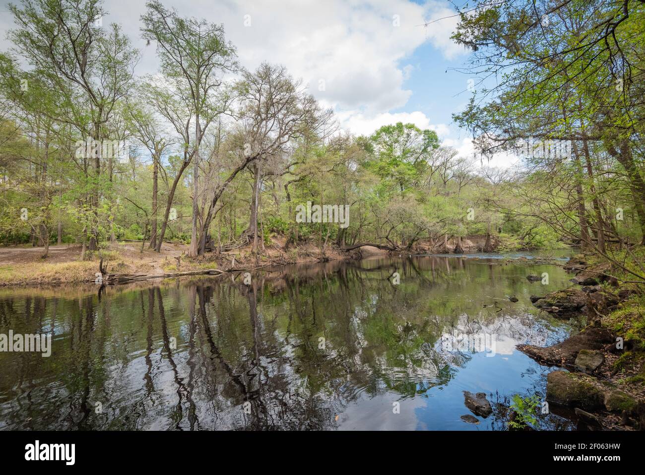 Beautiful Nature Park Stock Photo - Alamy