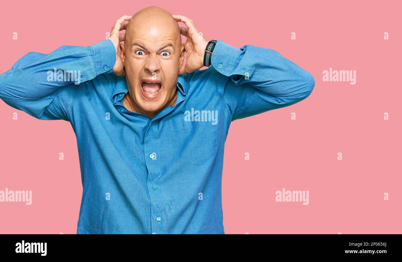 Middle age bald man wearing casual clothes crazy and scared with hands ...