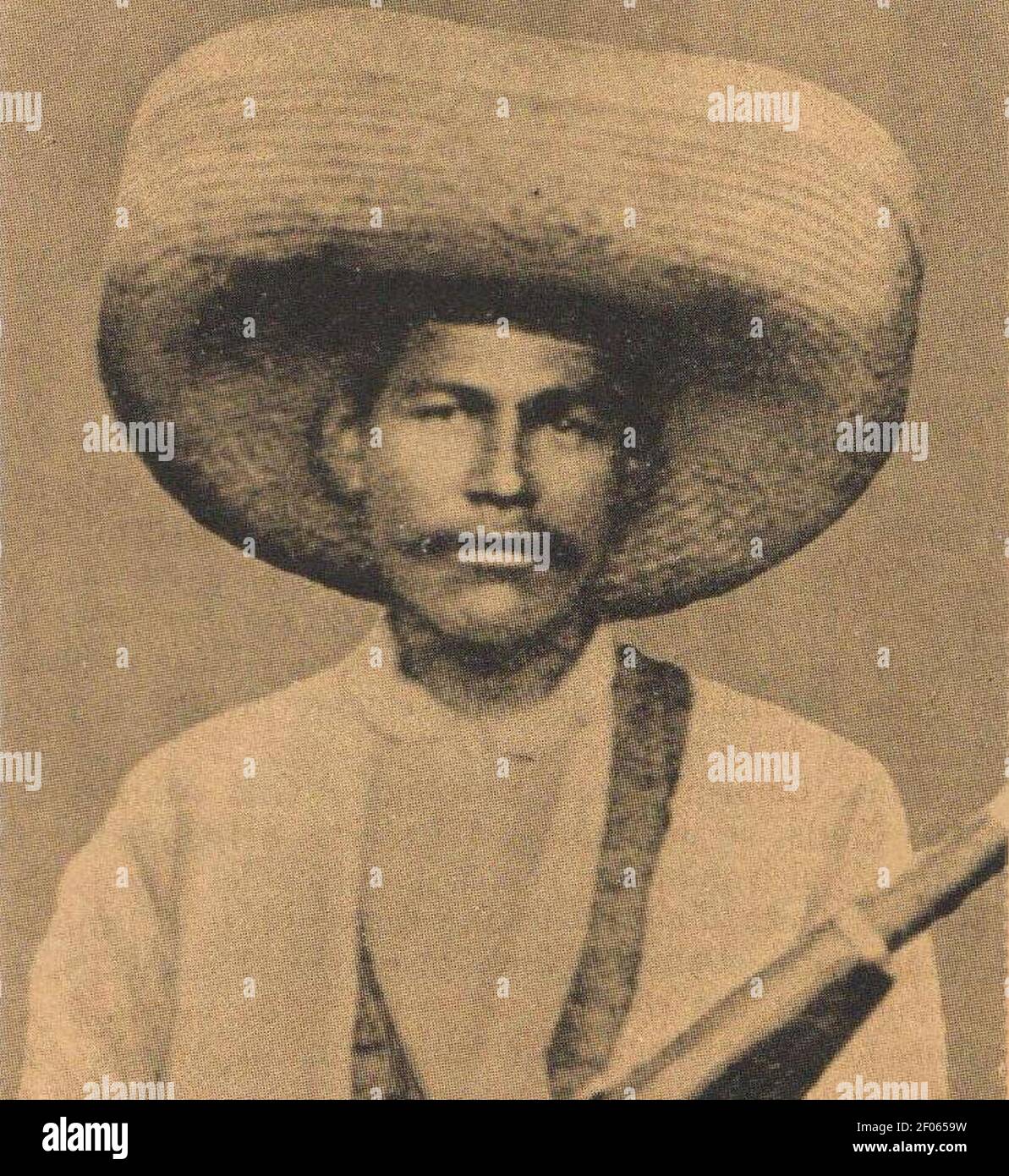 Galis hi-res stock photography and images - Alamy