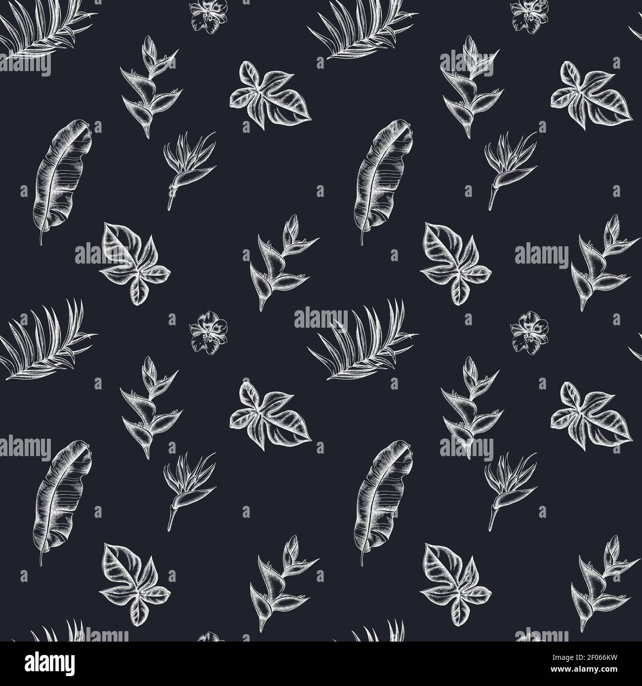 Seamless pattern with hand drawn chalk monstera, banana palm leaves ...