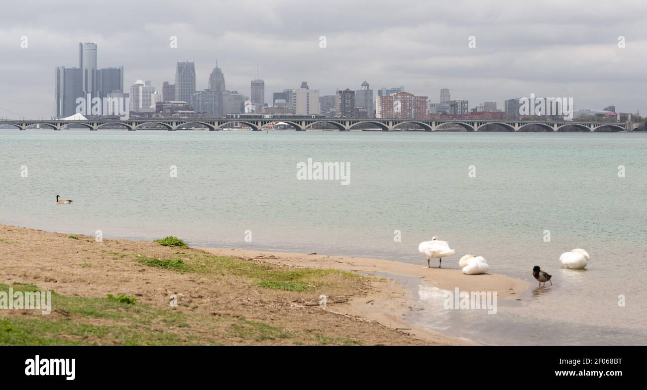 Long Panoramic Detroit Michigan River Downtown City Skyline Stock Photo ...