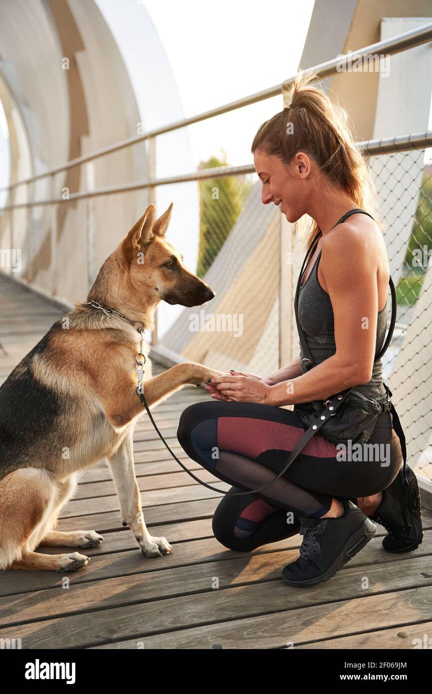German shepherd on a leash giving a paw to her owner in sportswear ...