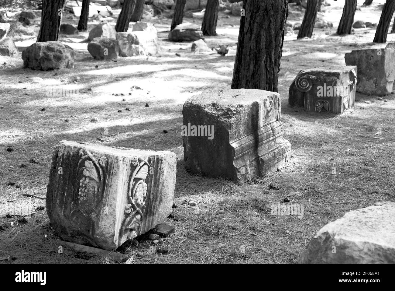 Old ruined column and destroyed stone in phaselis temple turkey asia ...