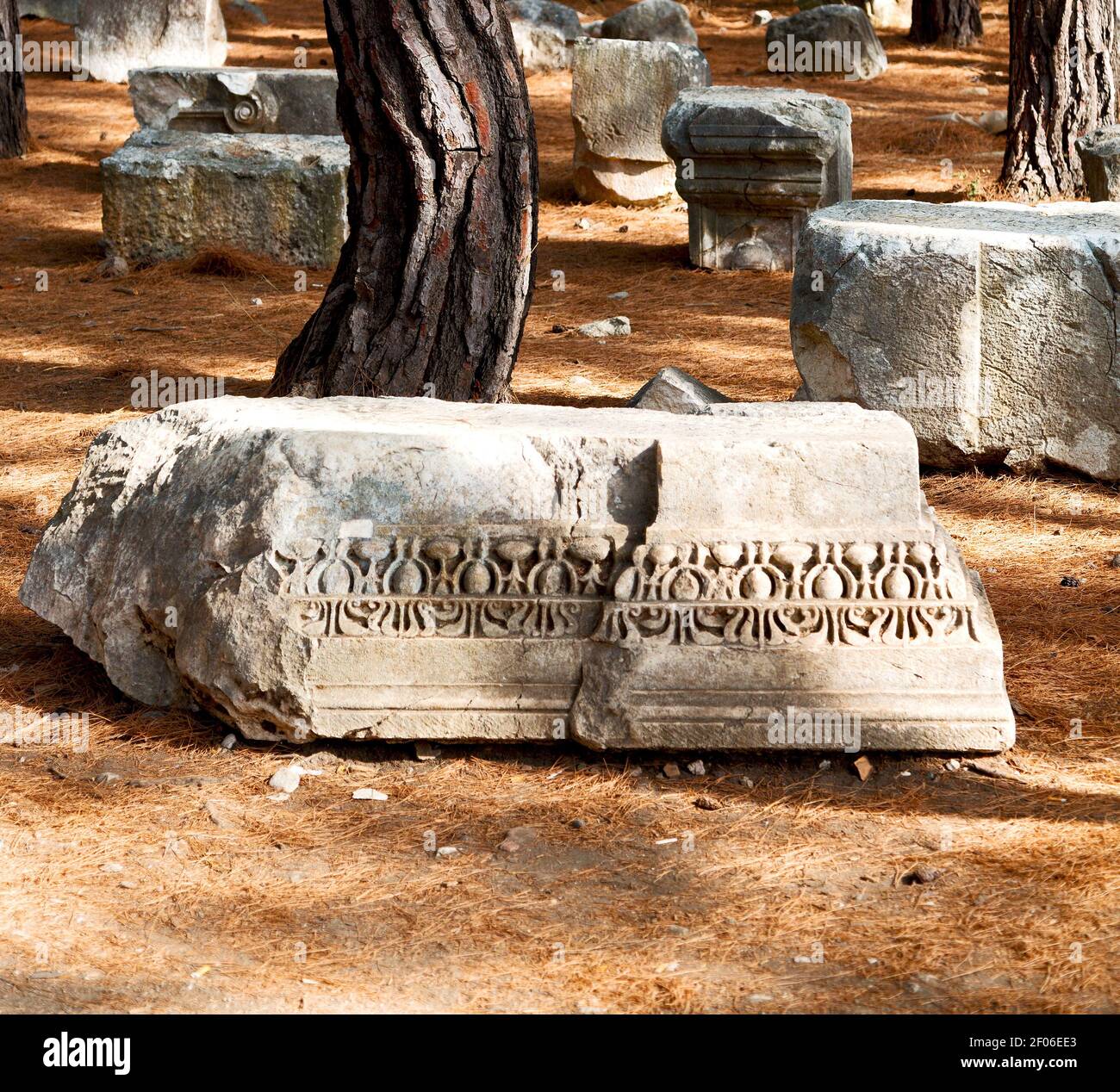 Old ruined column and destroyed stone in phaselis temple turkey asia ...