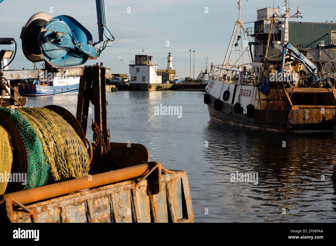 North Sea pelagic trawlers in Peterhead harbour in the evening sun ...
