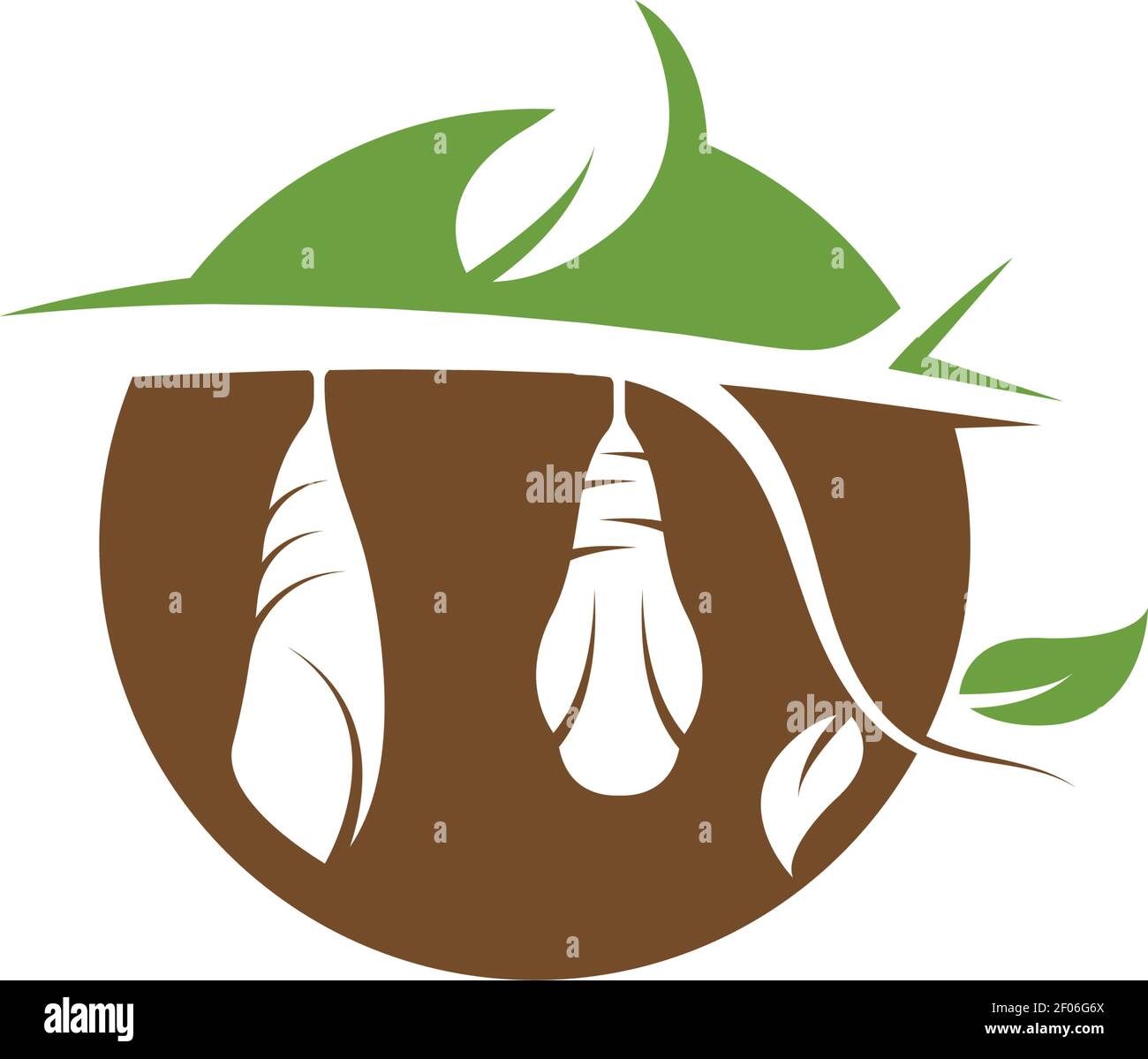 Caterpillar cocoon tree Cut Out Stock Images & Pictures - Alamy