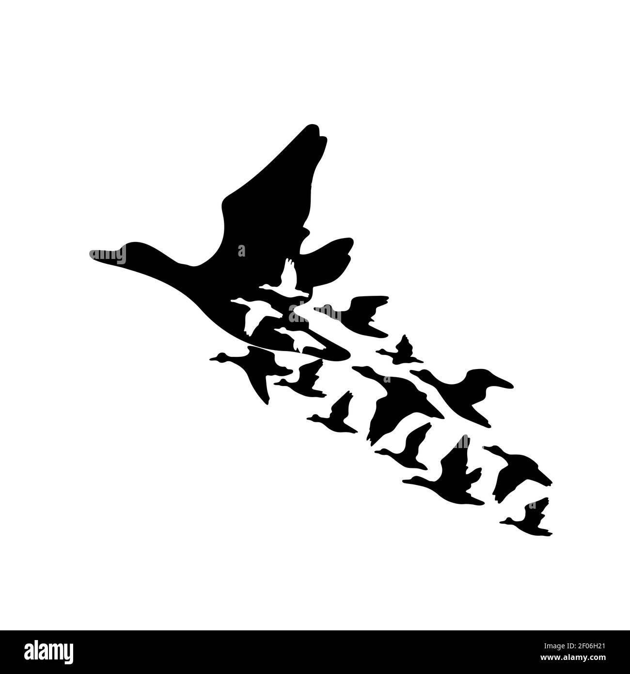 A ducks flying south. Bringing ducks home. Vector illustration Stock ...